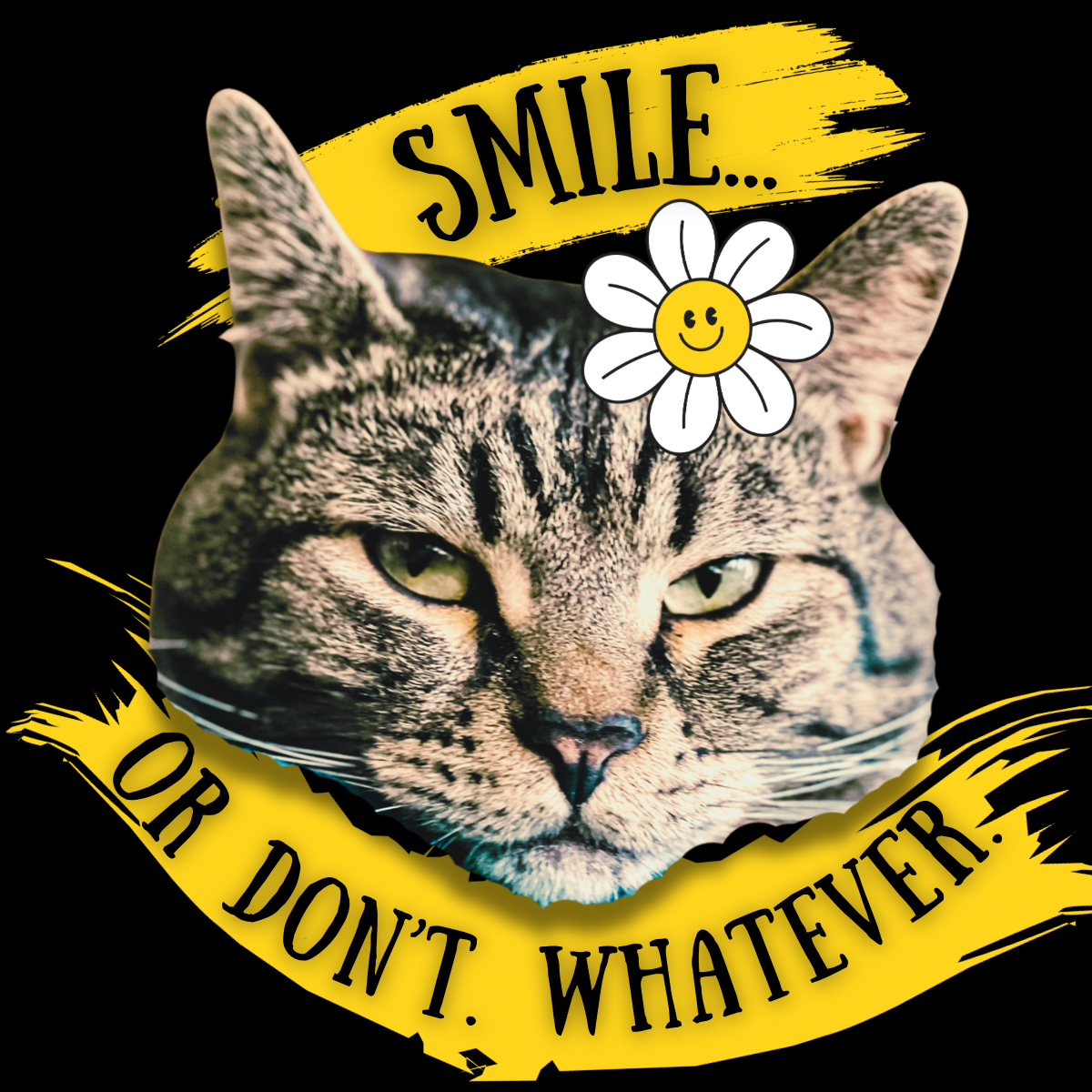 Sticky Cards – Sticky The Kitty