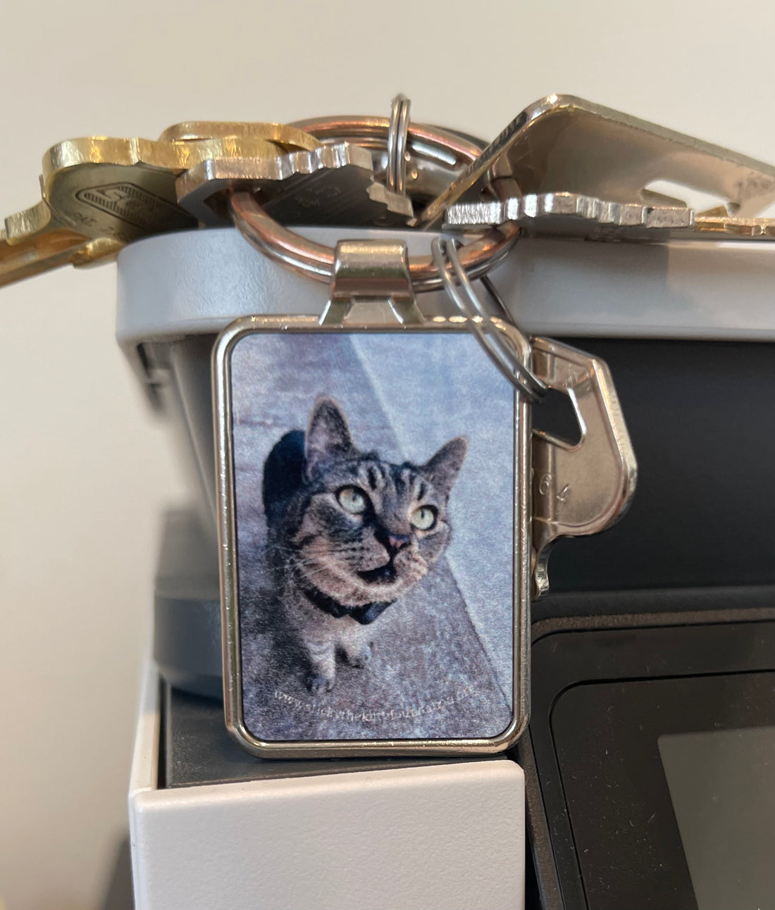Sticky Key Chain – Sticky The Kitty