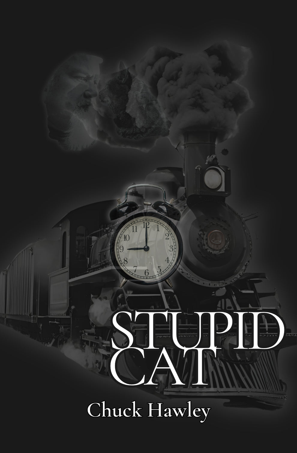 Stupid Cat - By Chuck Hawley Immediate Digital Download – Sticky The Kitty