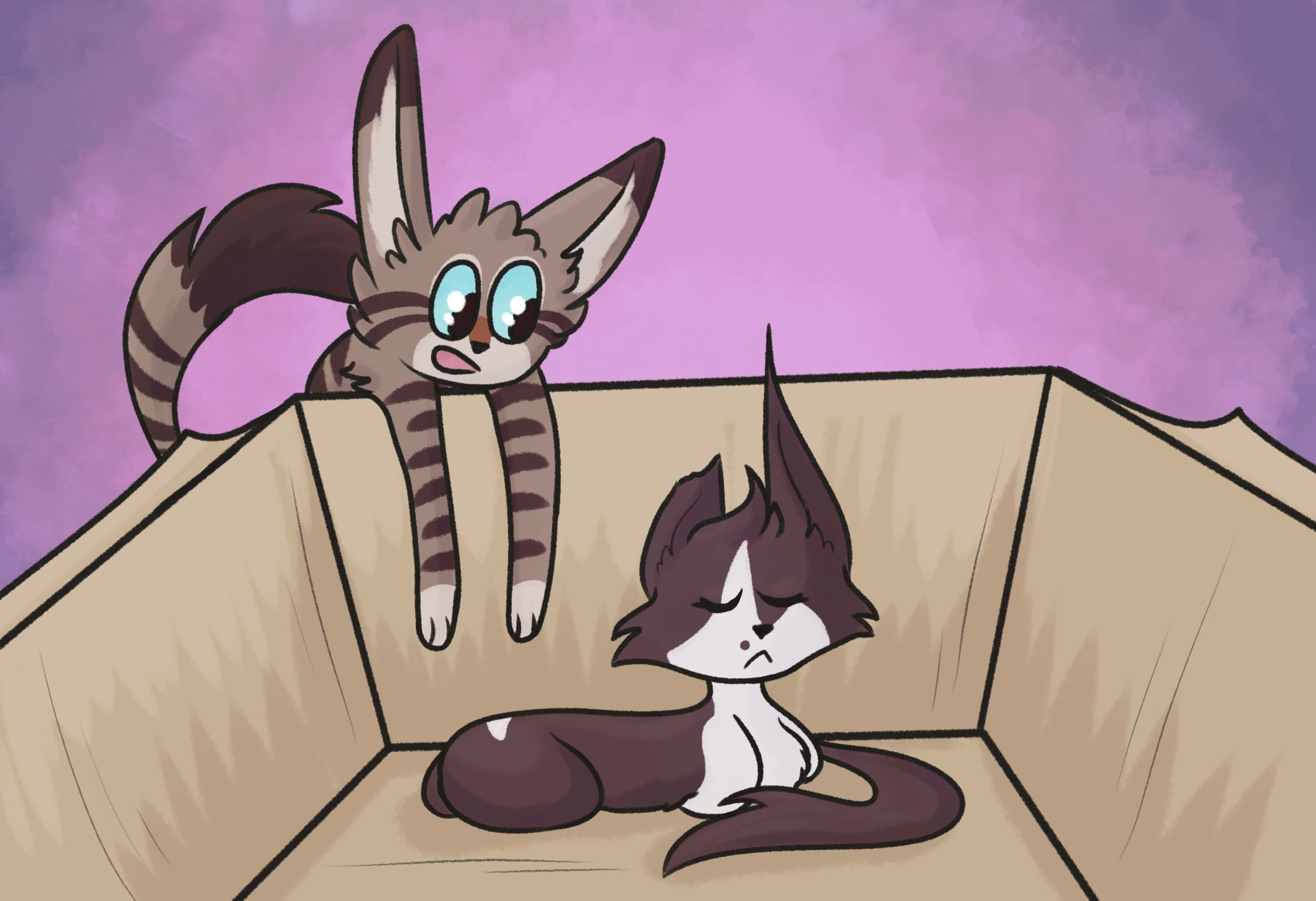 Sticky the Kitty and Chuck Hawley Books – Sticky The Kitty